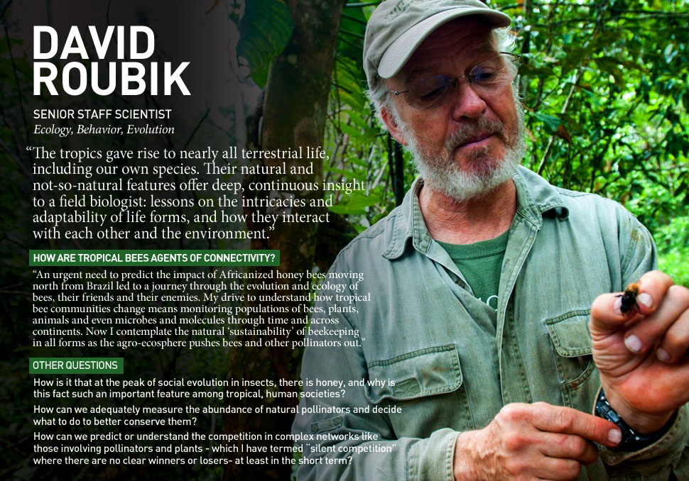 Meliponicultura: setembro 2016