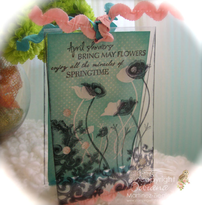 Stamping with Bibiana: Poppy ... Acetate Card with Clear Envelope