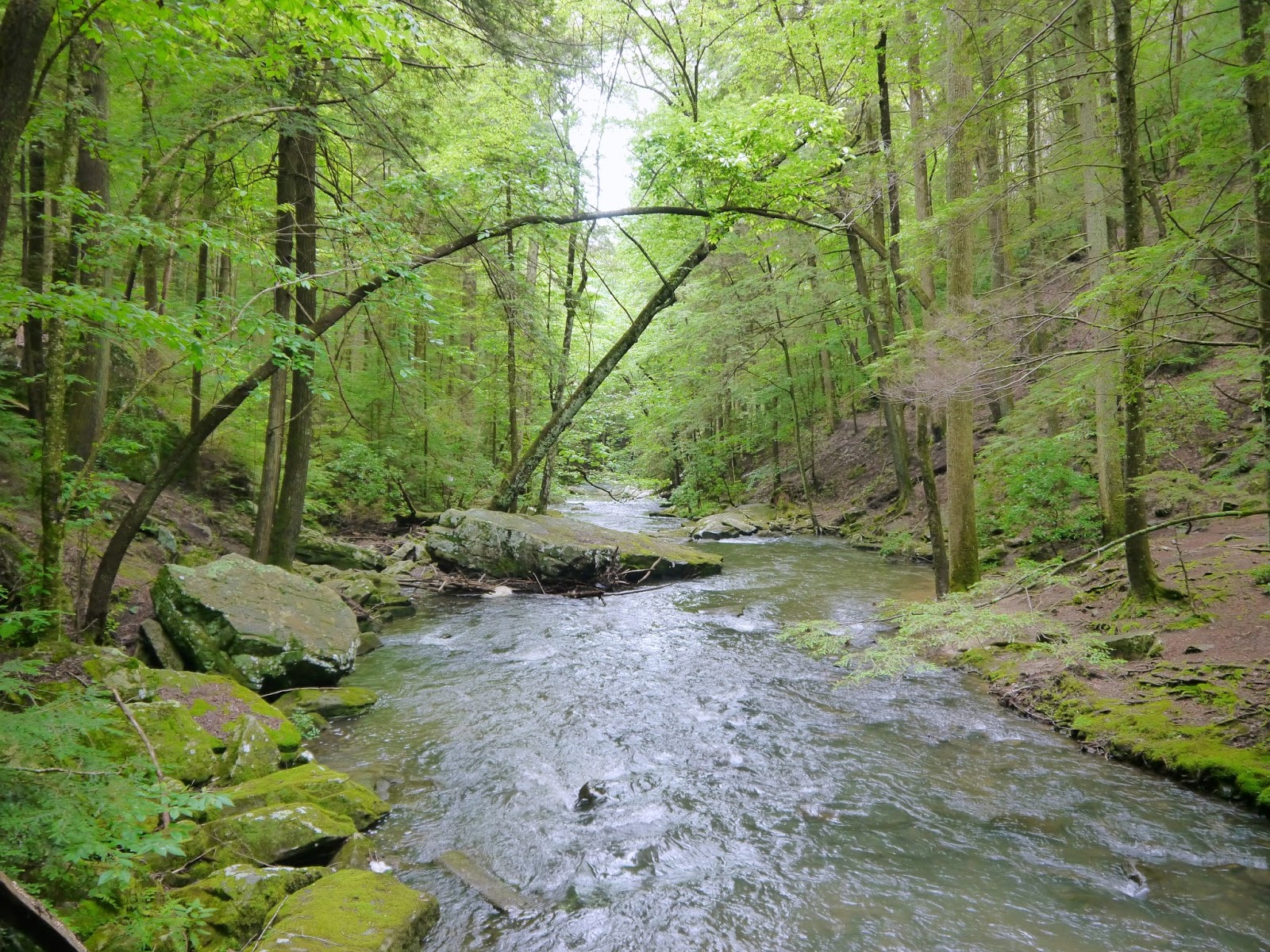 American Travel Journal: Foster Falls - South Cumberland State Park