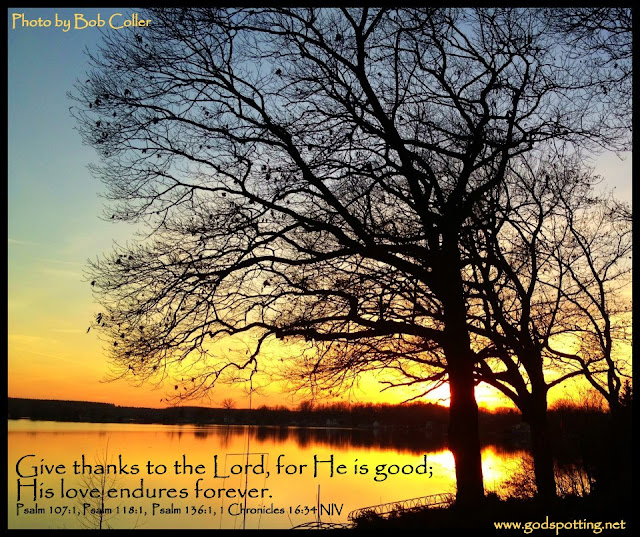 Weekend Reflection: Give Thanks