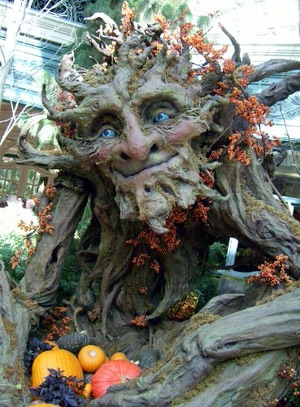 Every Day Is Special: June 23 – Anniversary of the Completion of a Tree ...