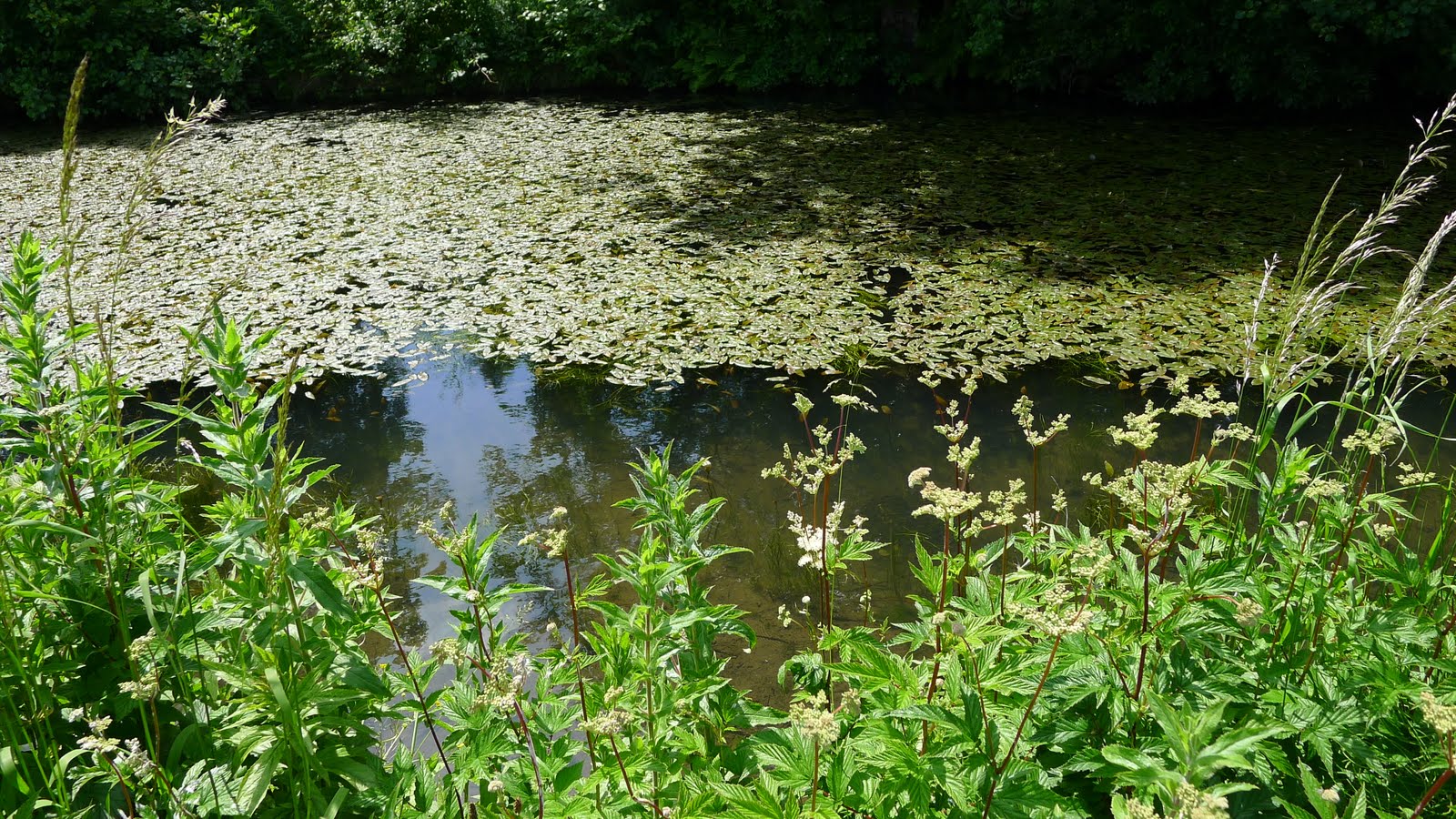 Undiscovered Networks: Whatstandwell