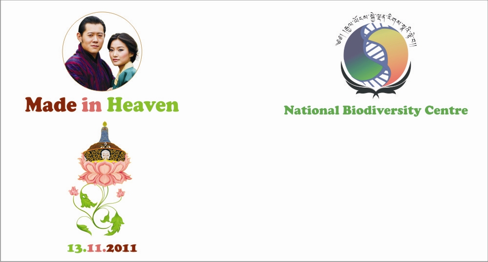 TurtleTreeCreations "Spontaneous Alchemical Combustions!": December 2011