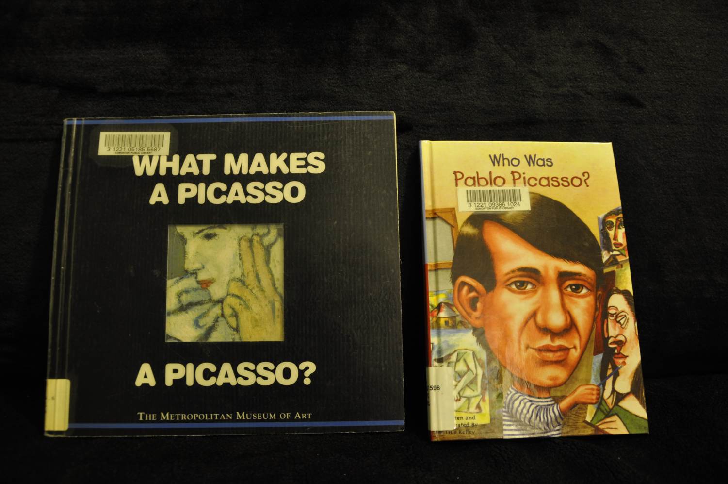 Edventures in Edmonton: Pablo Picasso: A Mini Unit