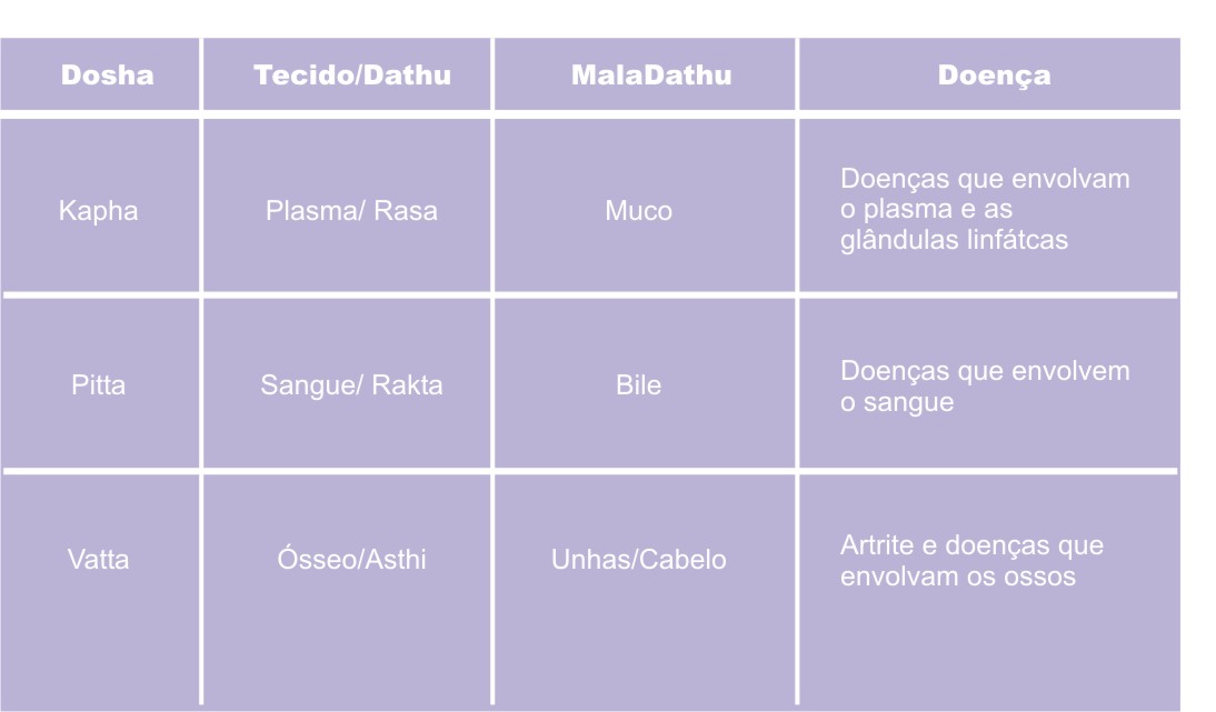 Surf & Ayurveda: Dhatus os sete tecidos corporais