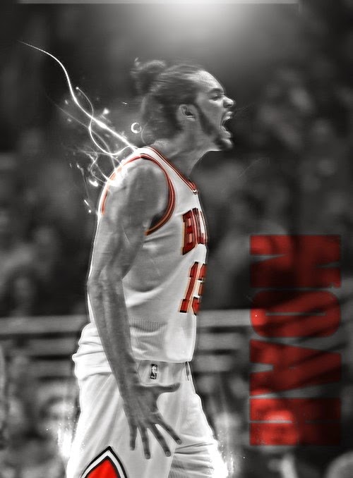 2013-14 NBA Defensive PLAYER of the YEAR...JO All-Star of BULLS Nation ...