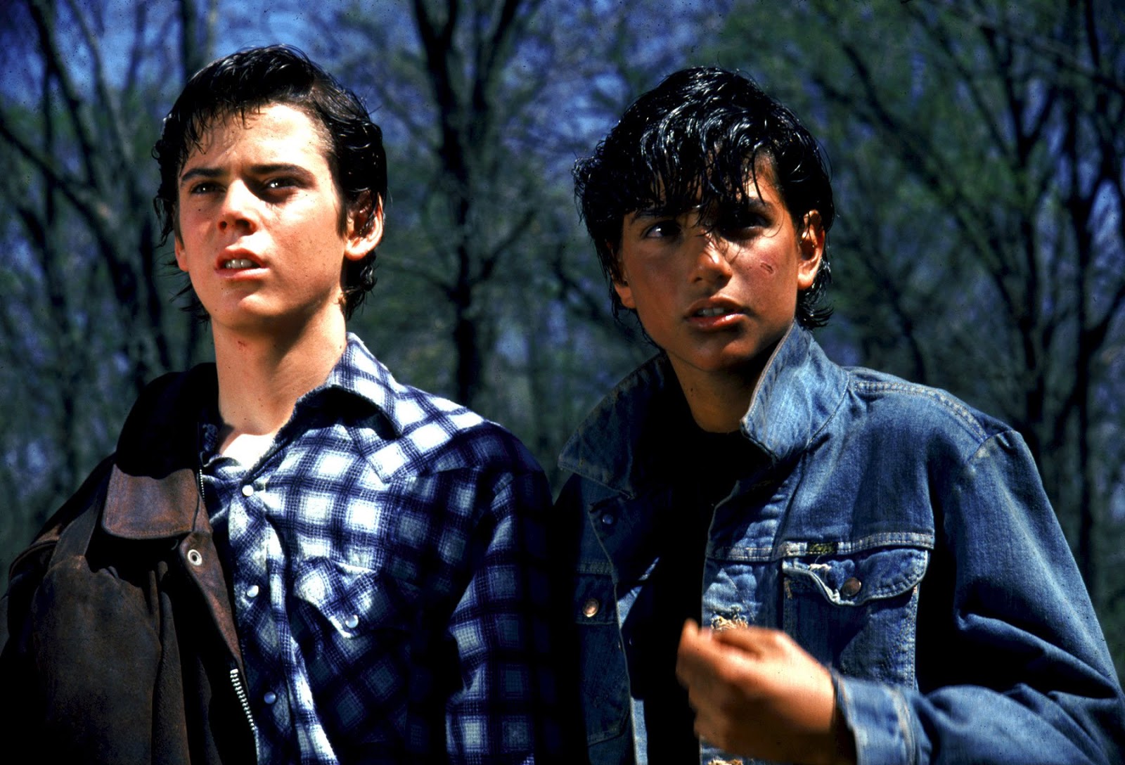 Movie Review: The Outsiders (1983)