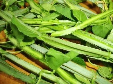 Pirandai: Amazing Health Benefits - Poothendral - Passion makes Life ...
