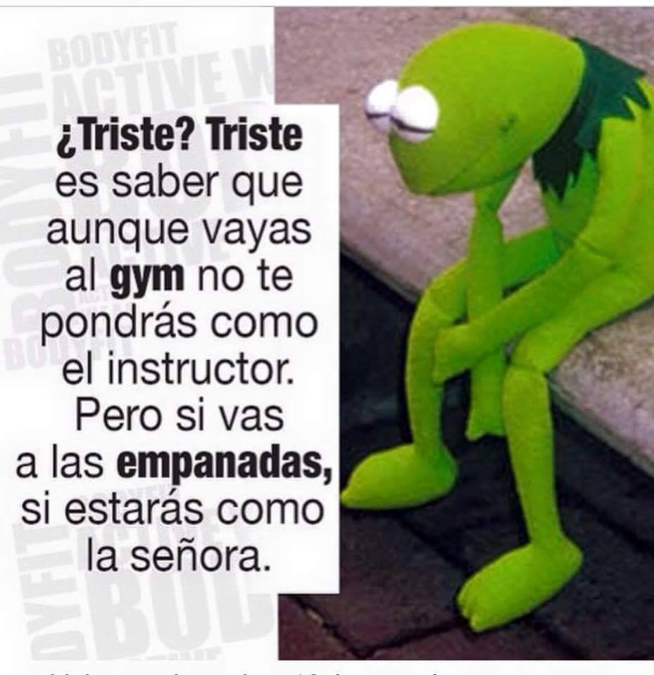 Memes de la rana rene: 3 Memes de la rana rene para no papar de reír