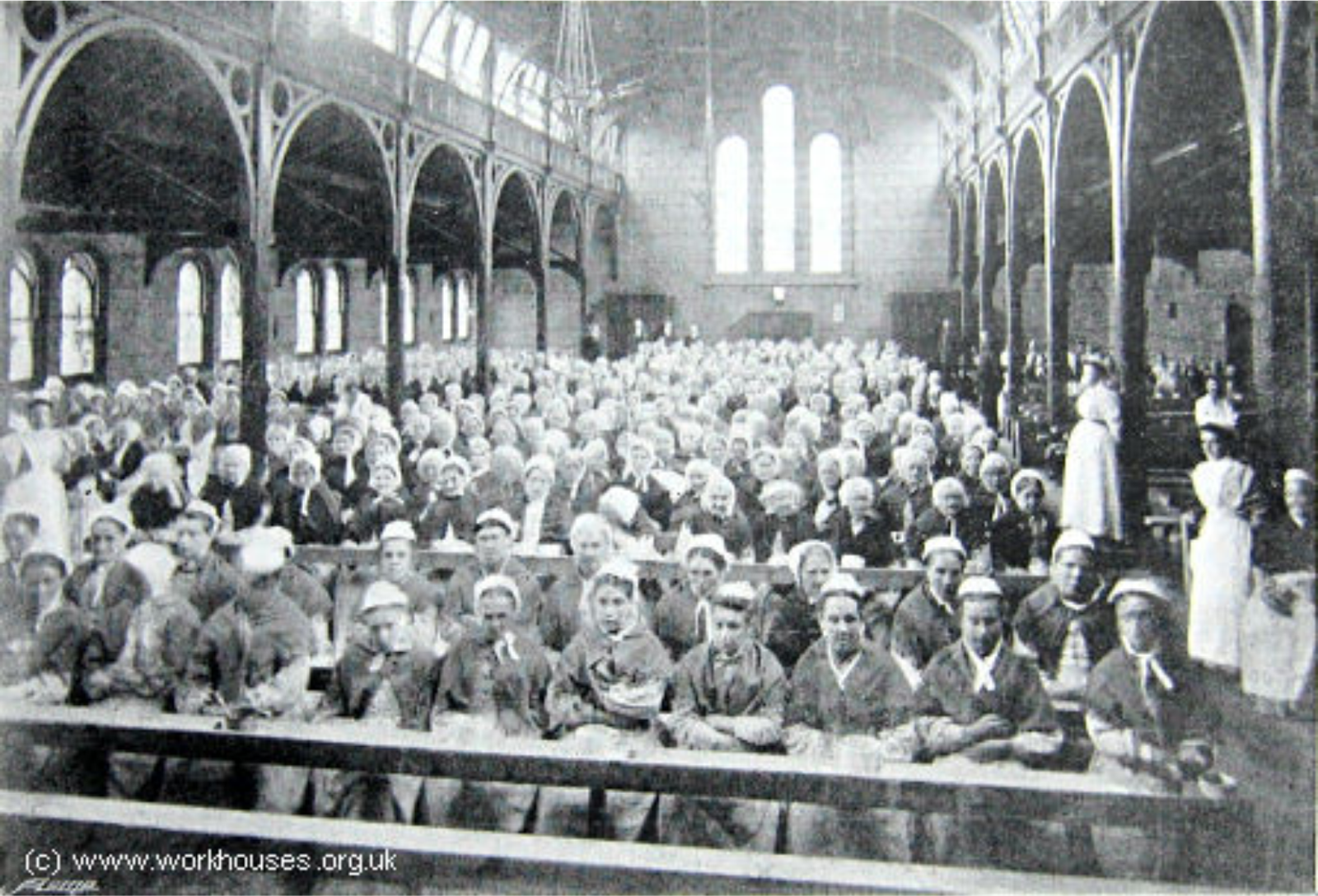 kapistrinews: "Ο λοιμός της πατάτας" στην Ιρλανδία The Great Famine