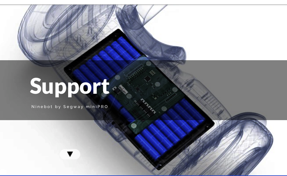 Thinking About It: Segway Mini Pro