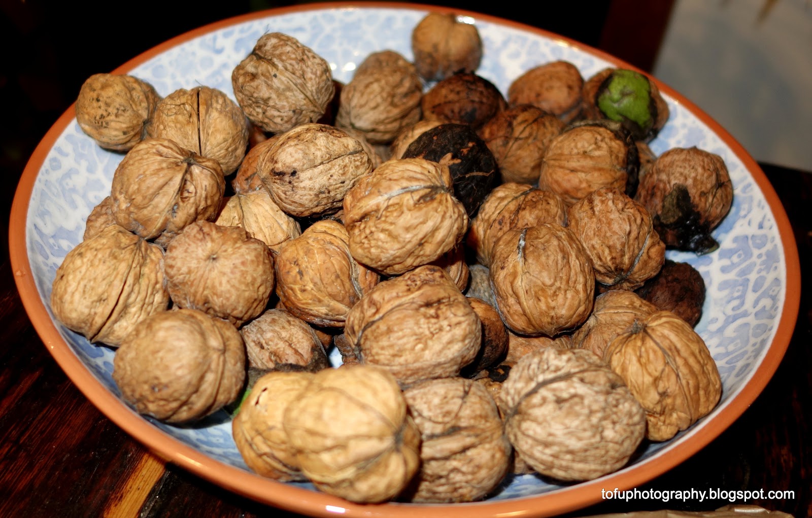 Tofu Photography: Walnuts in Fitzroy, Melbourne