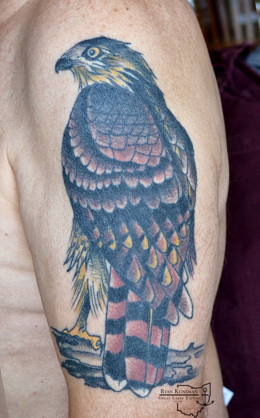 Hawk Tattoo Idea | Hawk tattoo, Tattoos, Cool tattoos