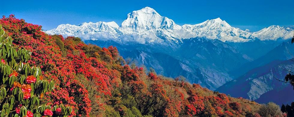 Community trek in Nepal - Annapurna Dhaulagiri, Mohare Hill