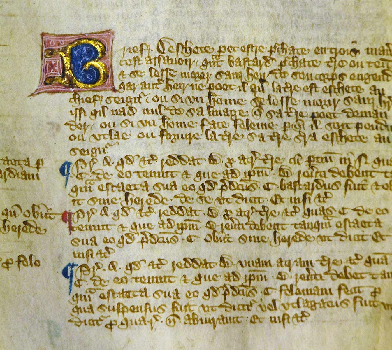 Olive Tree Genealogy Blog: New Copy of Magna Carta Discovered in Scapbook