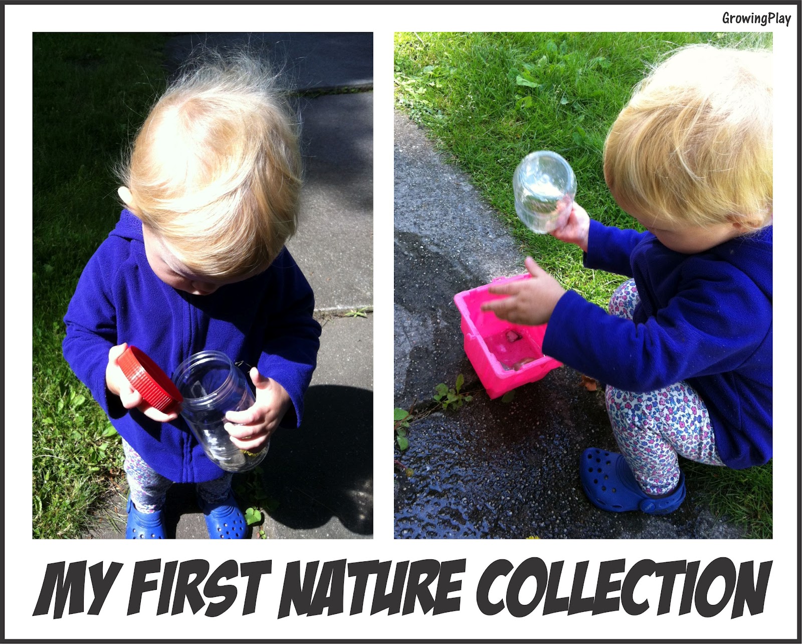 Growing Play: My First Nature Collection