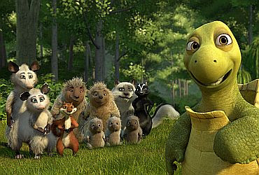 E.E.B. Francisco Altamir Wagner: OS SEM FLORESTA!