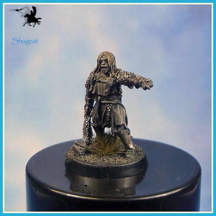Wojna w miniaturze | War in miniature: Shagrat