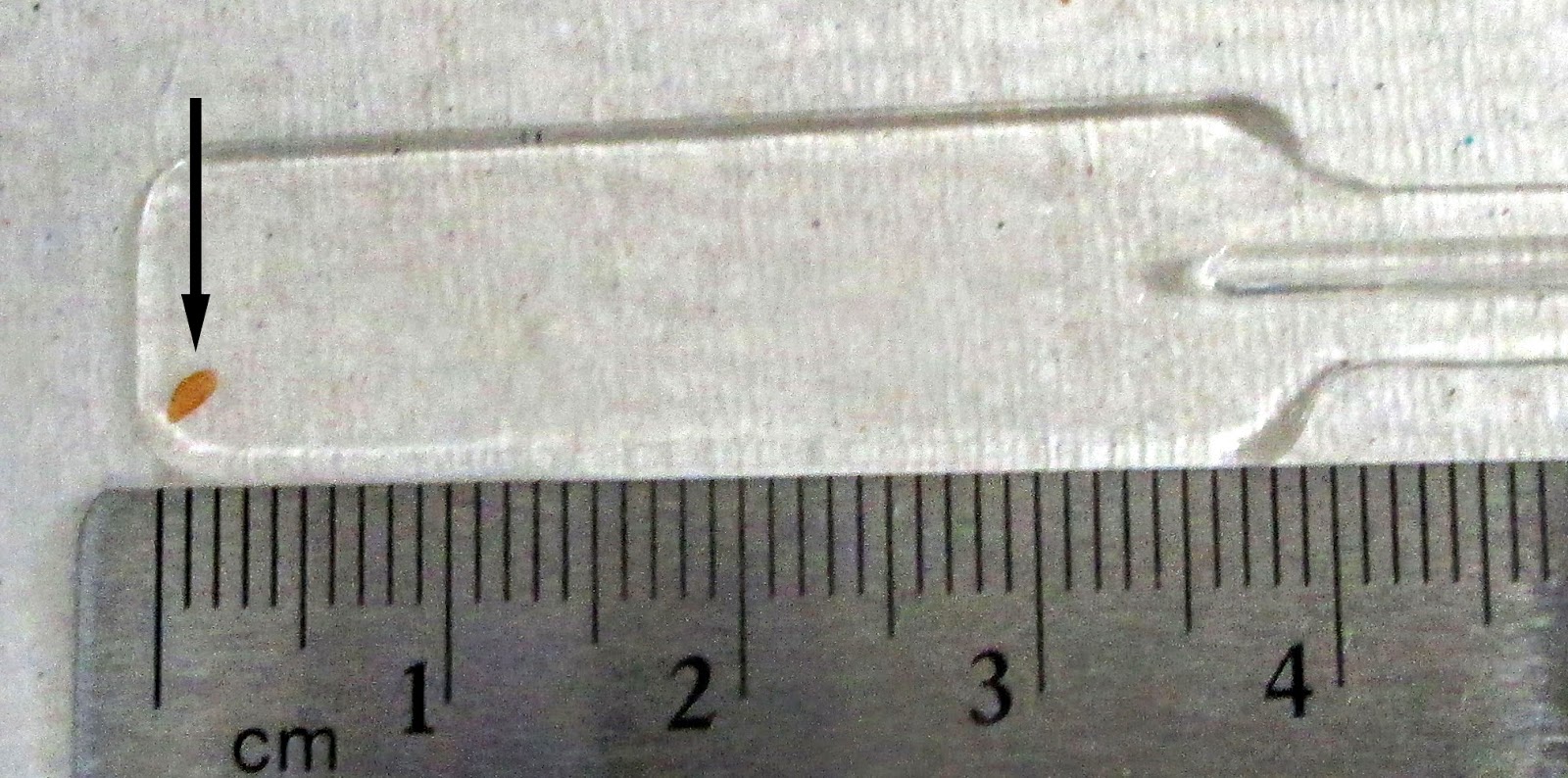 Creepy Dreadful Wonderful Parasites: April 2017