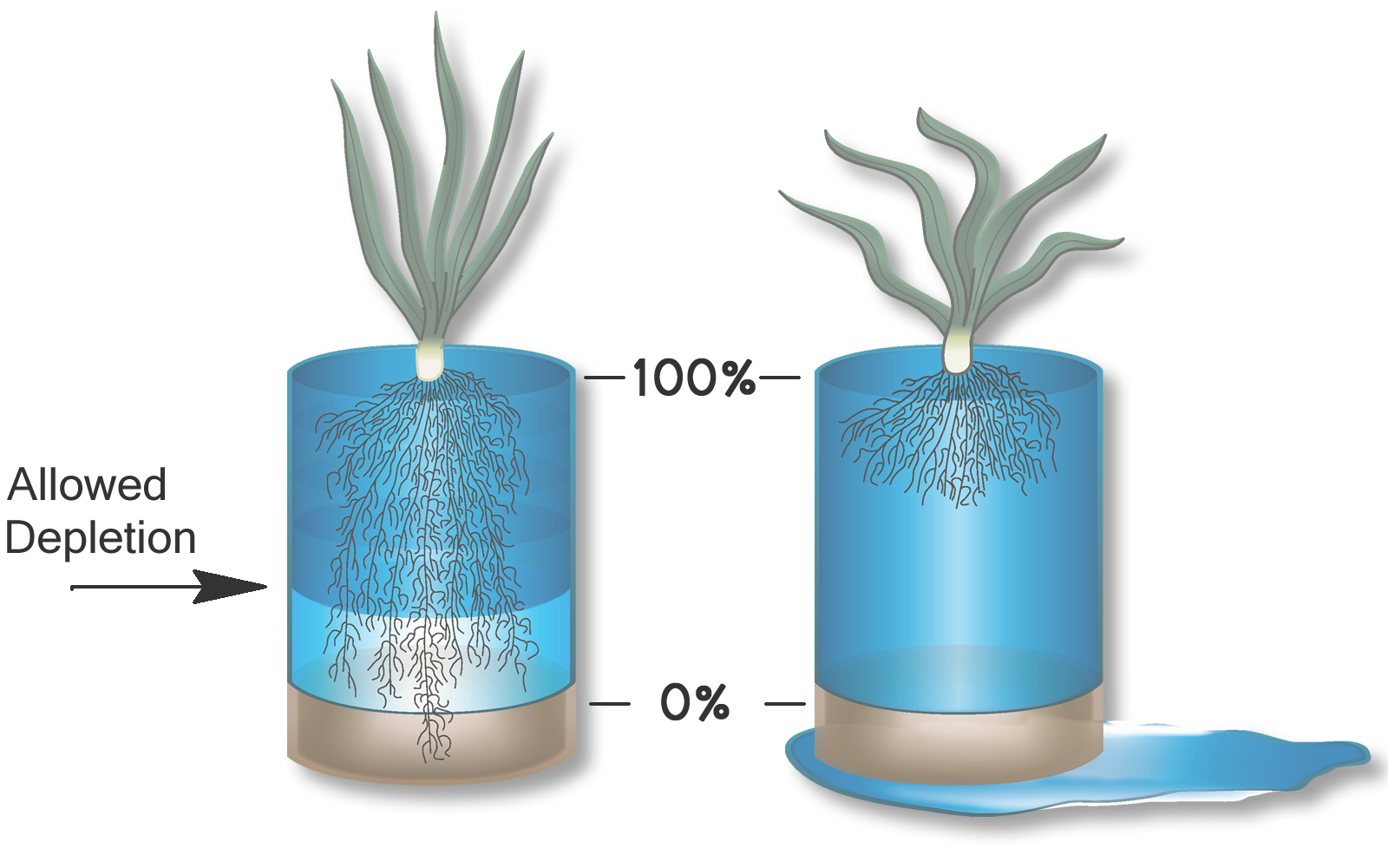 Learn Something About Plants