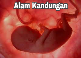 Proses Perjalanan Ruh Manusia ke pada 5 Alam yang berbeda - Kuwaluhan.com