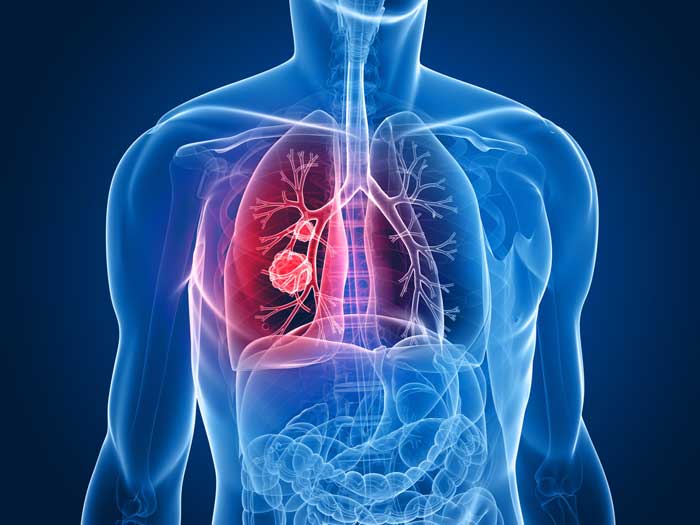 Which lung is smaller? | Interesting Facts