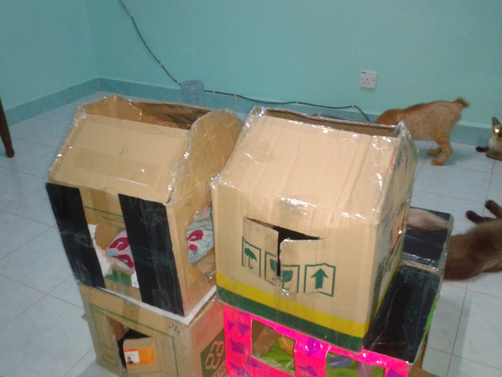 "DUNIA KUCING": RUMAH MAINAN KUCING by Kotak