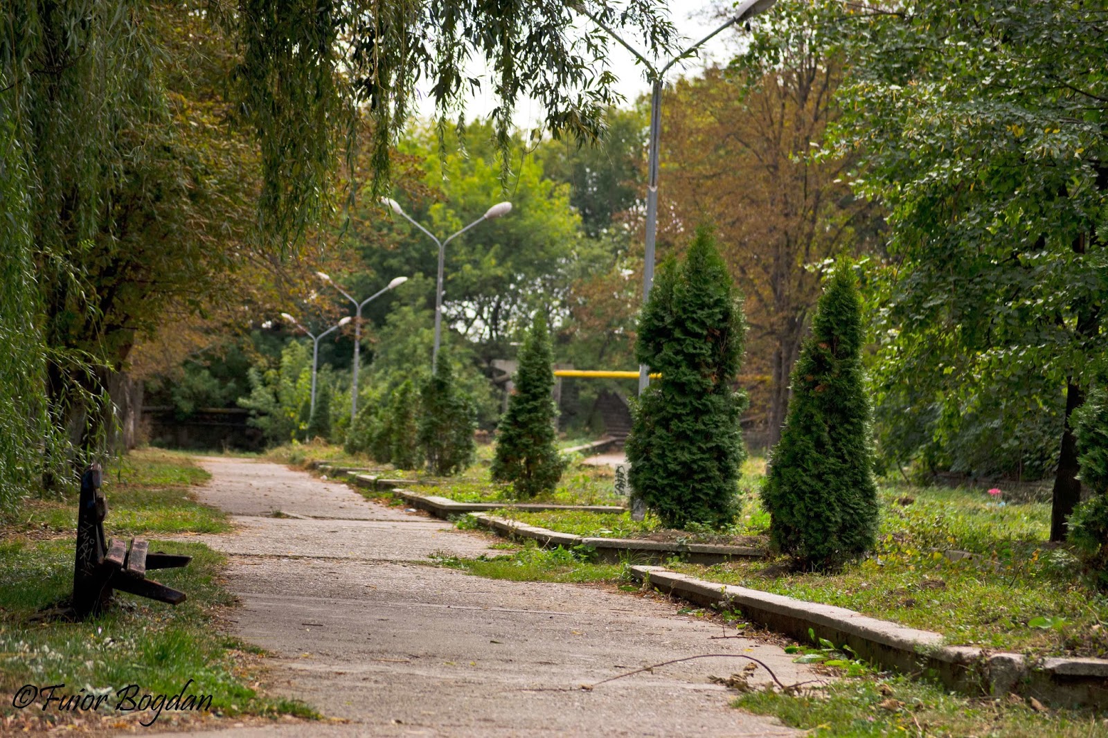 Foto-reportaj despre oraşul Paşcani