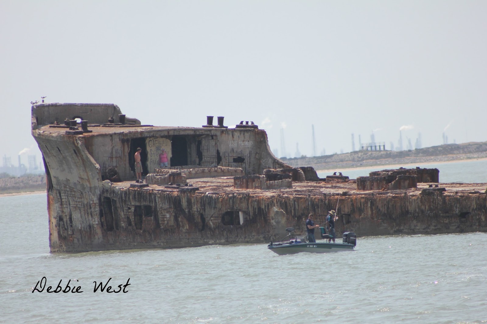 Ladybug from Texas: S S Selma