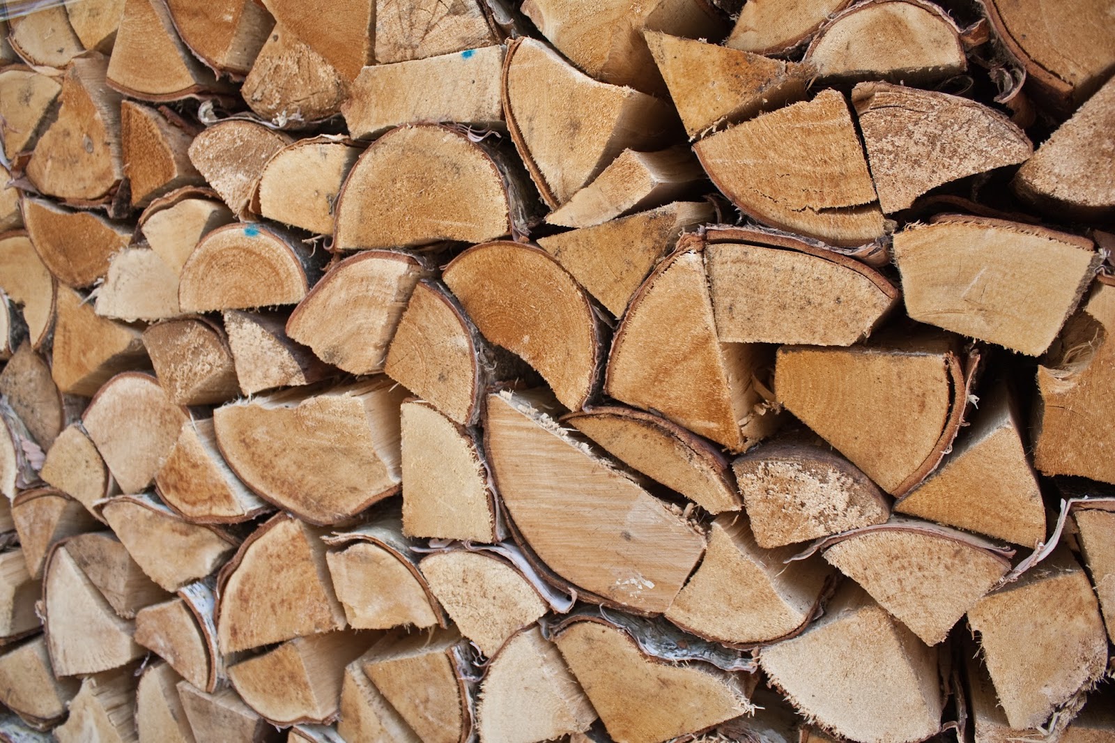 HAND, Have A Nice Day: Hout