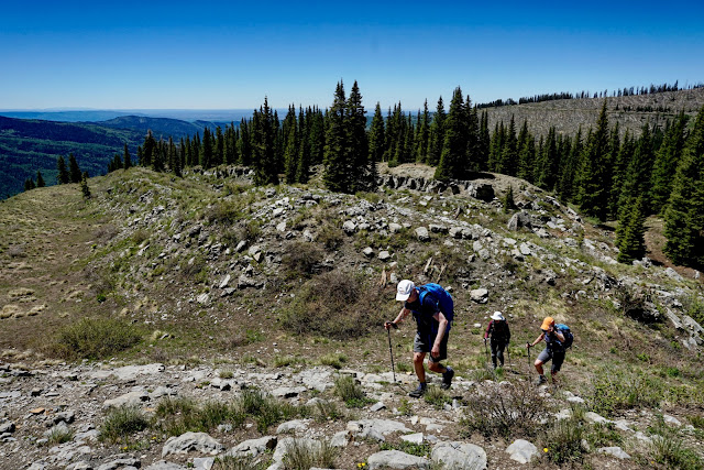 Earthline: The American West: Burnt Timber Trail, Point 11,003' and ...