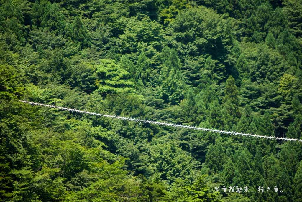 TomoChan Store: Japan’s scariest suspension bridge (Musou suspension ...