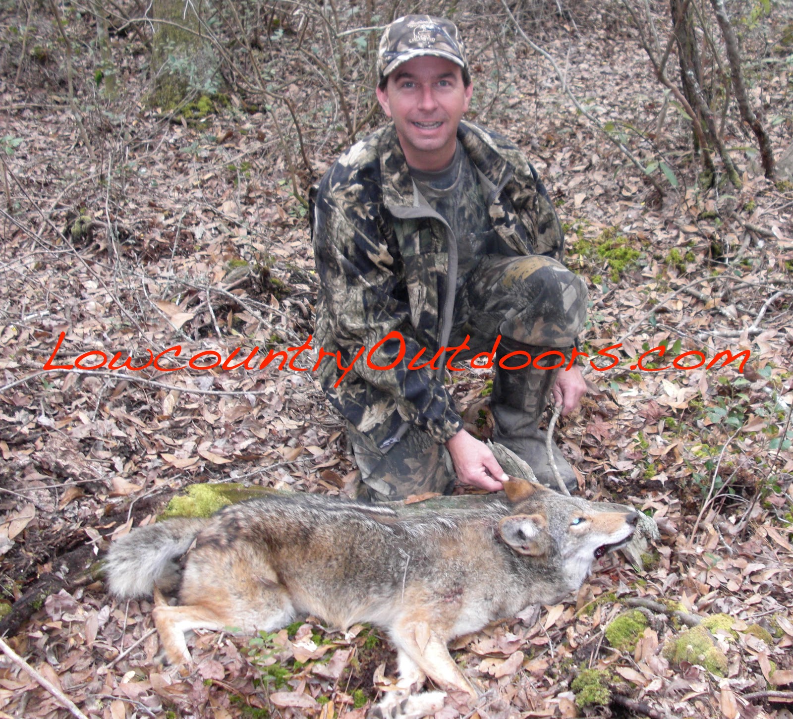 Lowcountry outdoors: SCDNR encourages night hunting for invasive species