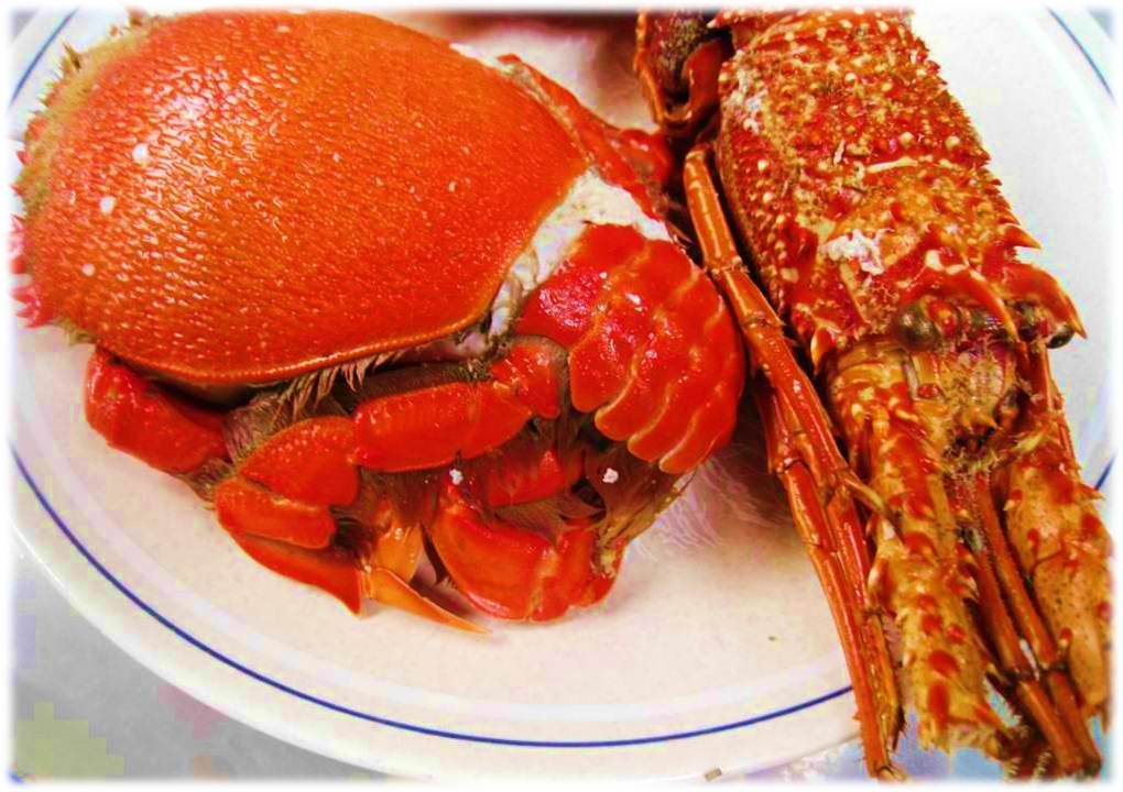 El Viajero: Points of Interest