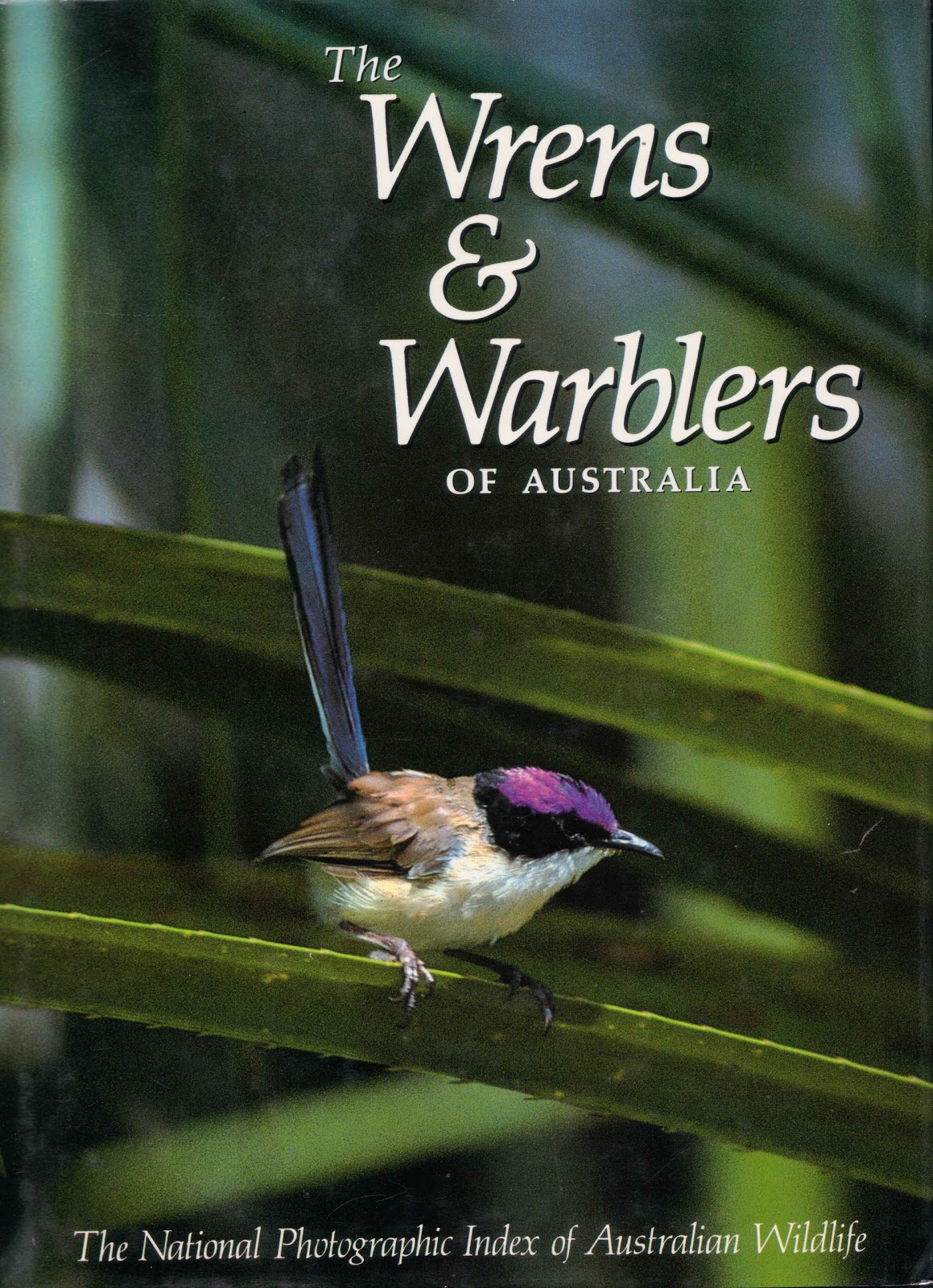 Huc & Gabet: The Wrens and Warblers of Australia, narrative by John ...