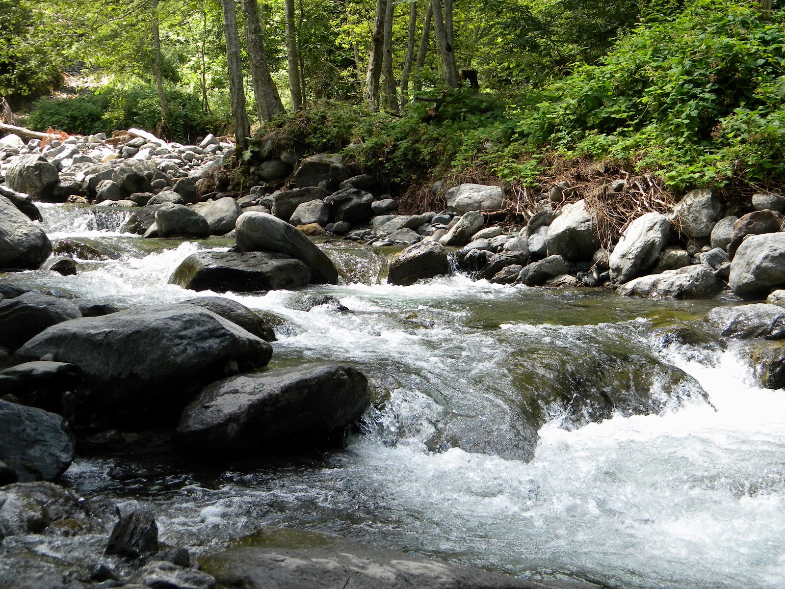 lumea in albastru: Valea Avrigului