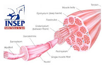 Le blog du GERAR: 2013