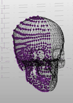Revit Recess: The Revit Human Skull