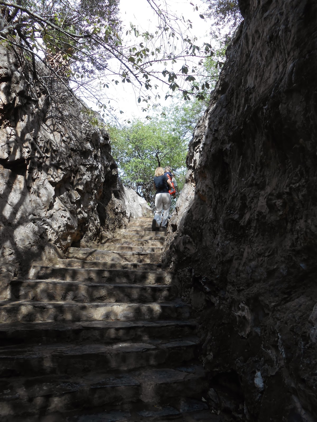 Well, It's Africa...: The Cradle of Humankind