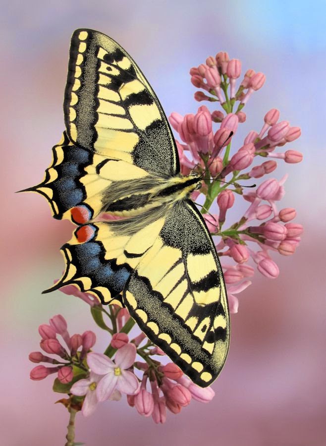 {Moments Like This}: May 2014