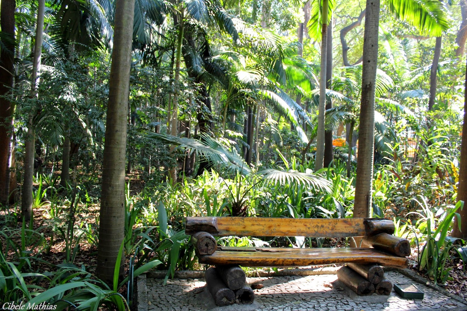 Passear e Fotografar: Parque Trianon