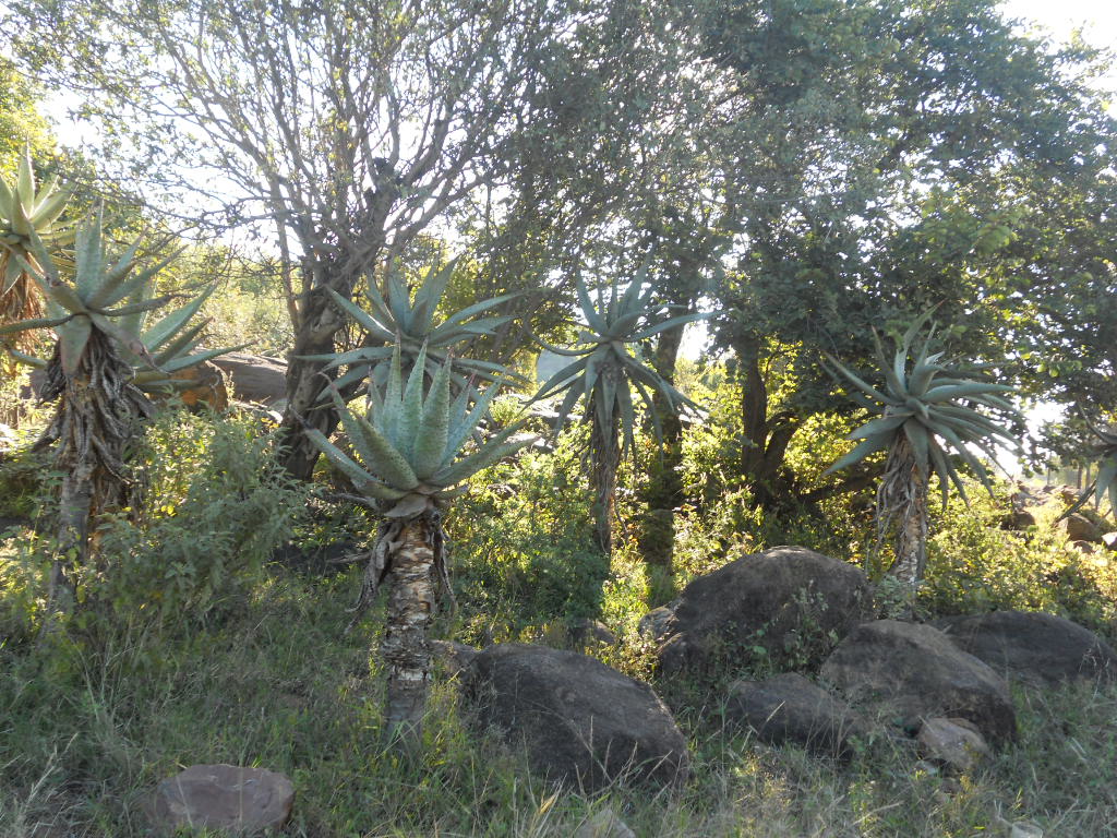 Beautiful Botswana: Gabane Village