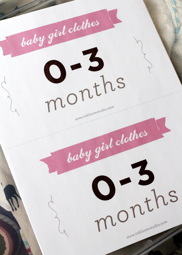 Lovely June Design Co.: freebie storage labels + getting organized