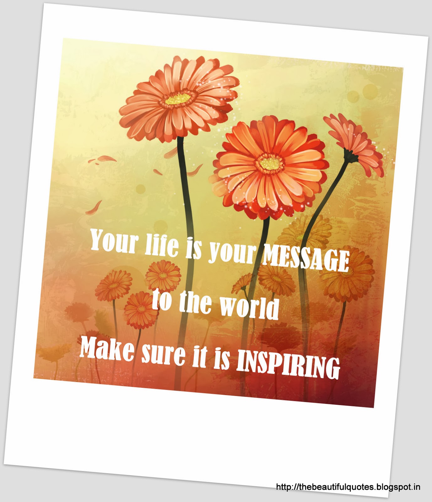 The Beautiful Quotes