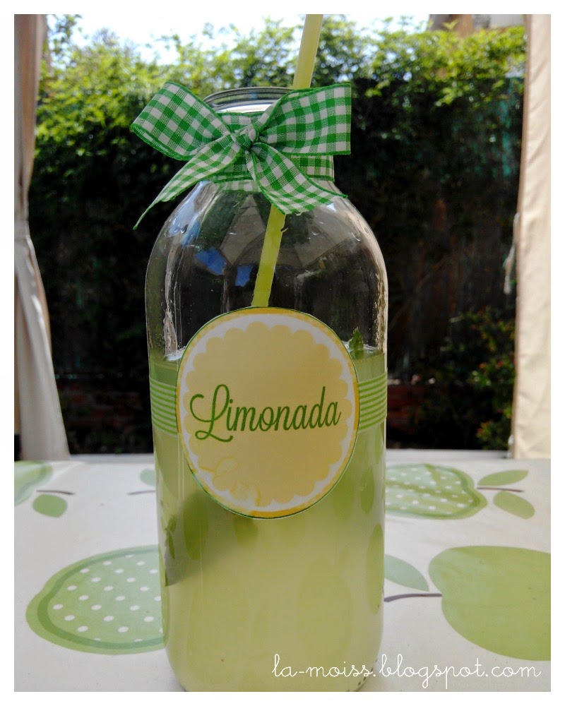 lamoiss: BOTES PARA LIMONADA RECICLADOS