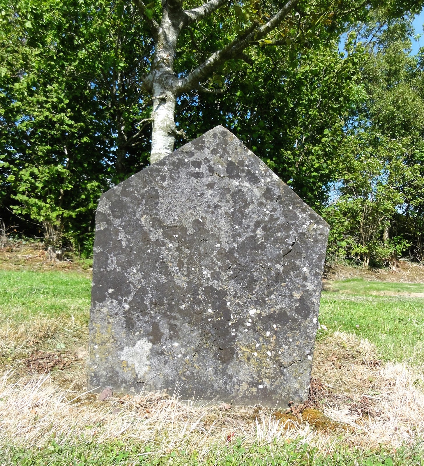 Kilkenny Graveyards: Kyleva Monument, Hugginstown, Parish of ...