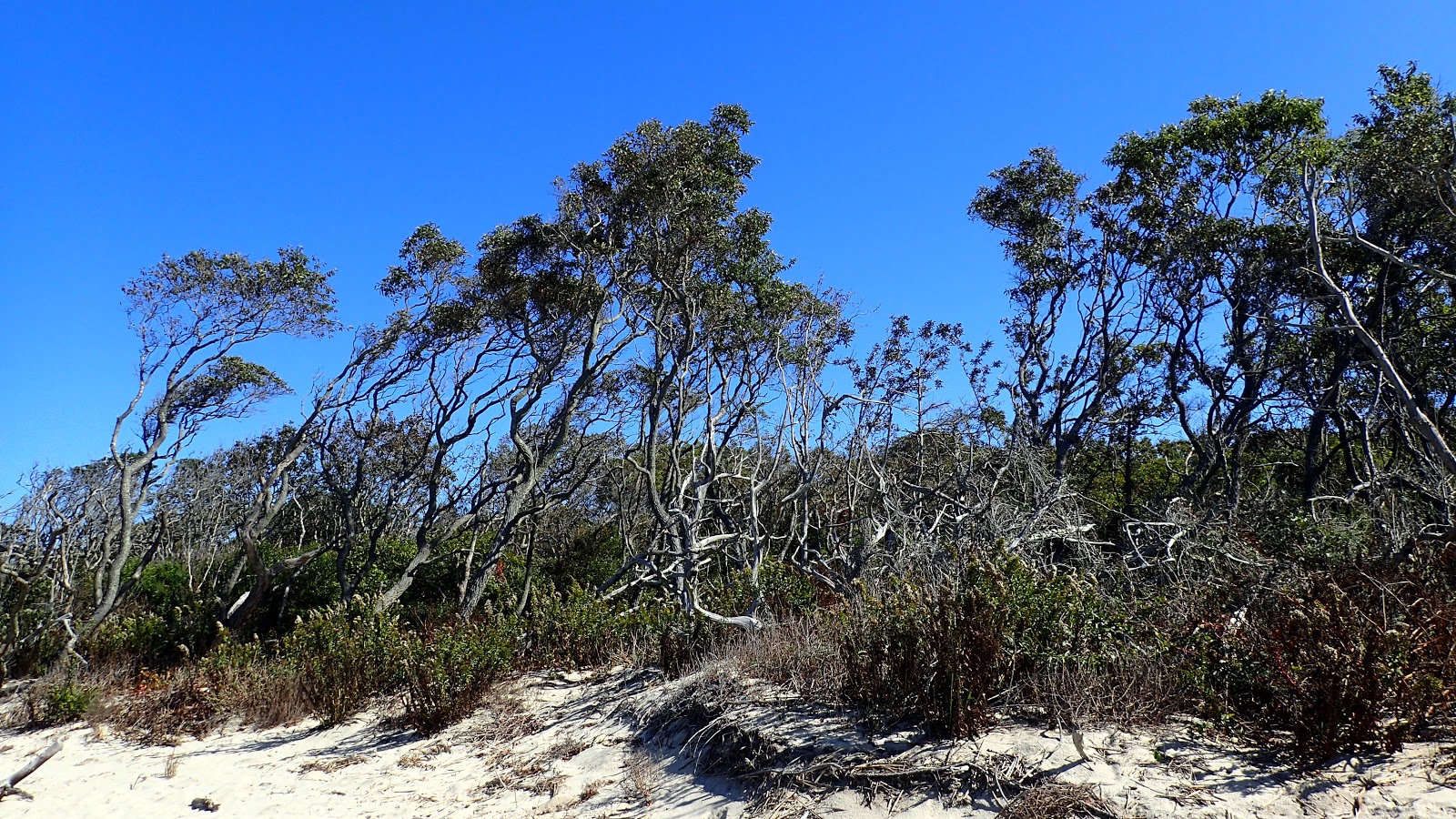The Continuing Adventures of Eric, Noelle and Sierra: Higbee Beach ...