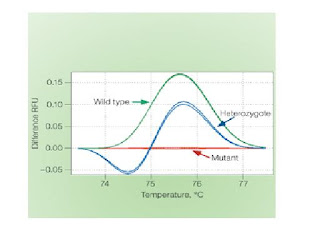 Real time PCR 노트: [qPCR tip] HRM (high resolution melting) -1