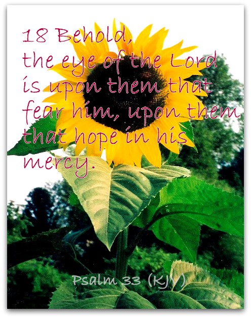 Red Pill Diaries: Psalm 33 (KJV)