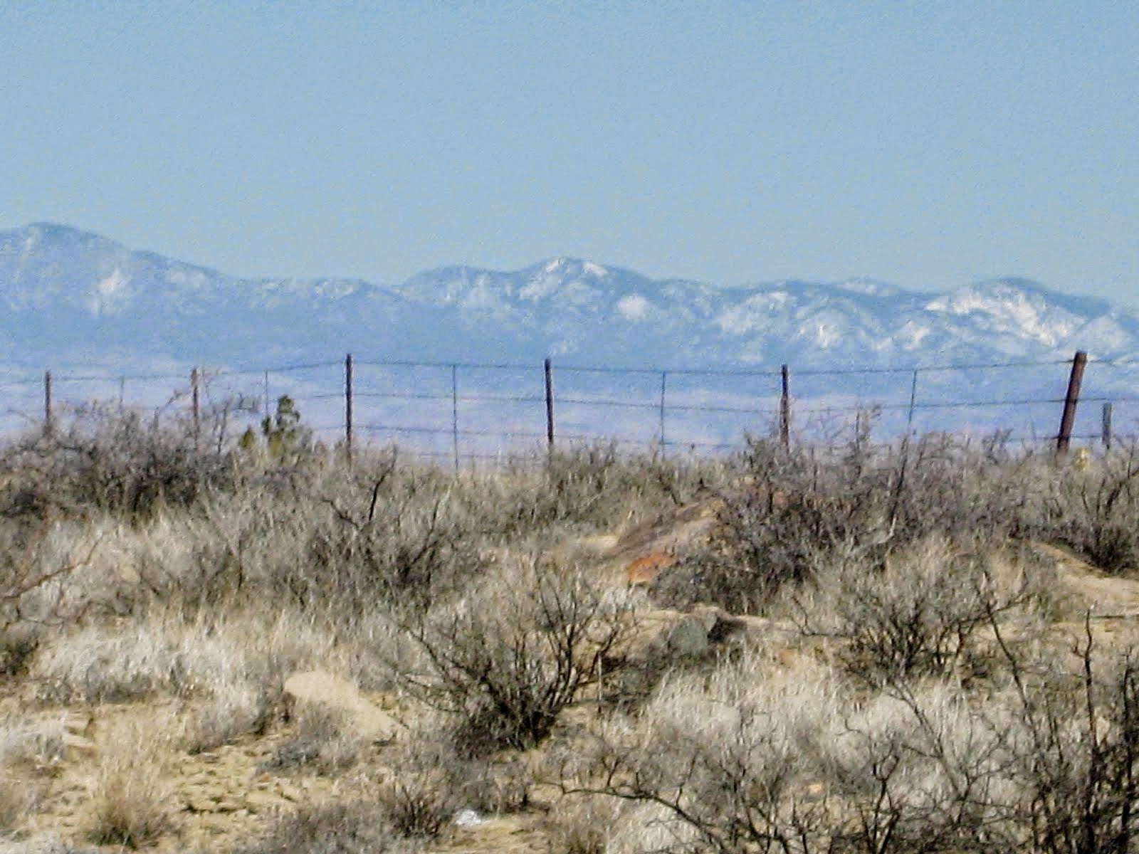 Living Rootless: July 2014